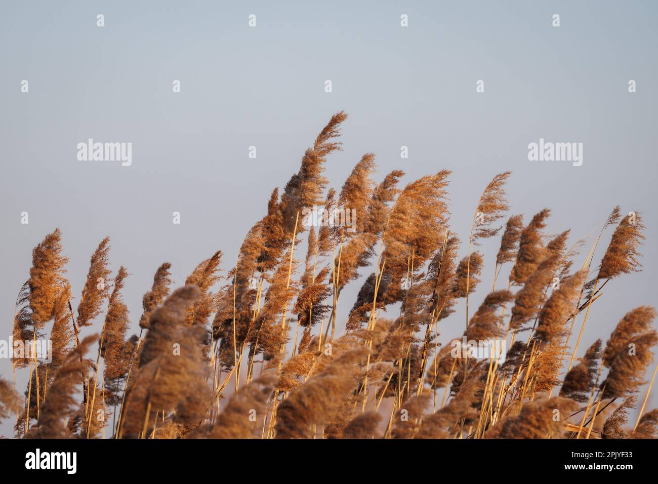 Windy weather hi-res stock photography and images - Alamy
