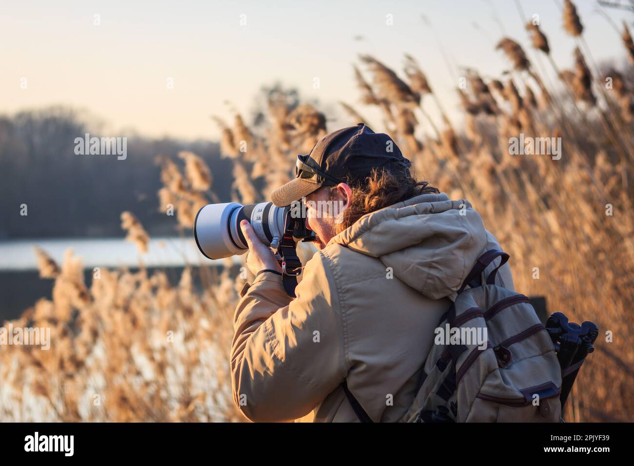 Photographer with camera hiding behind reeds at lake and photographing ...