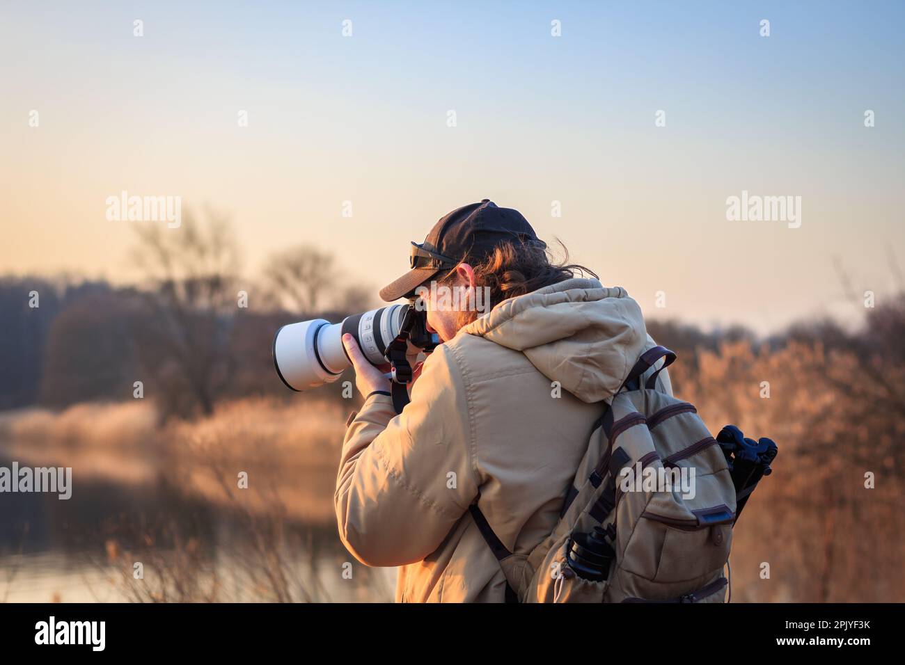 Wildlife photographer with camera photographing bird on lake at sunset ...