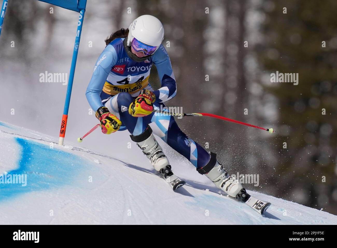 Sophia Palmquist competes in the women's giant slalom ski race during ...