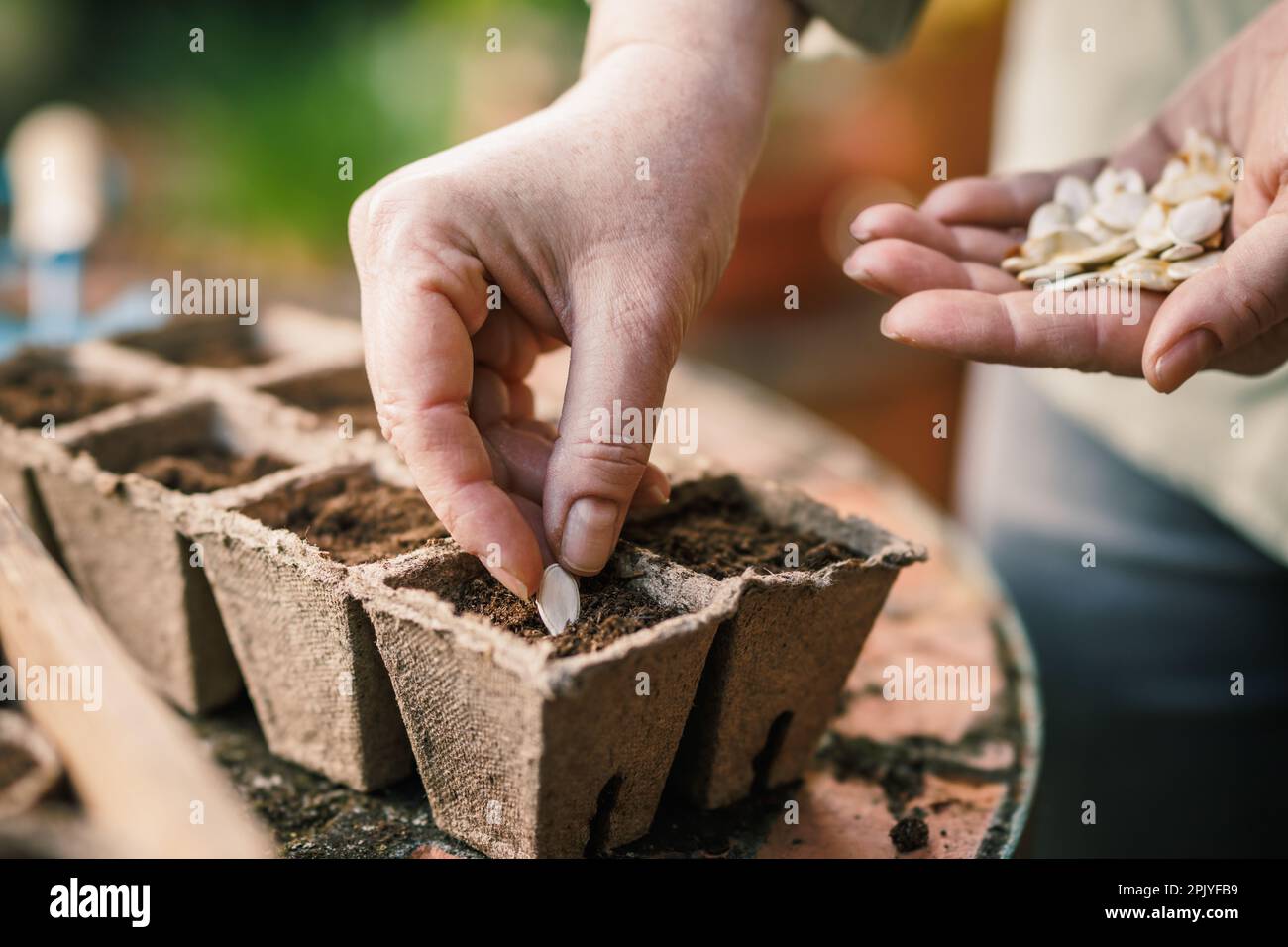Planting seed hi-res stock photography and images - Alamy