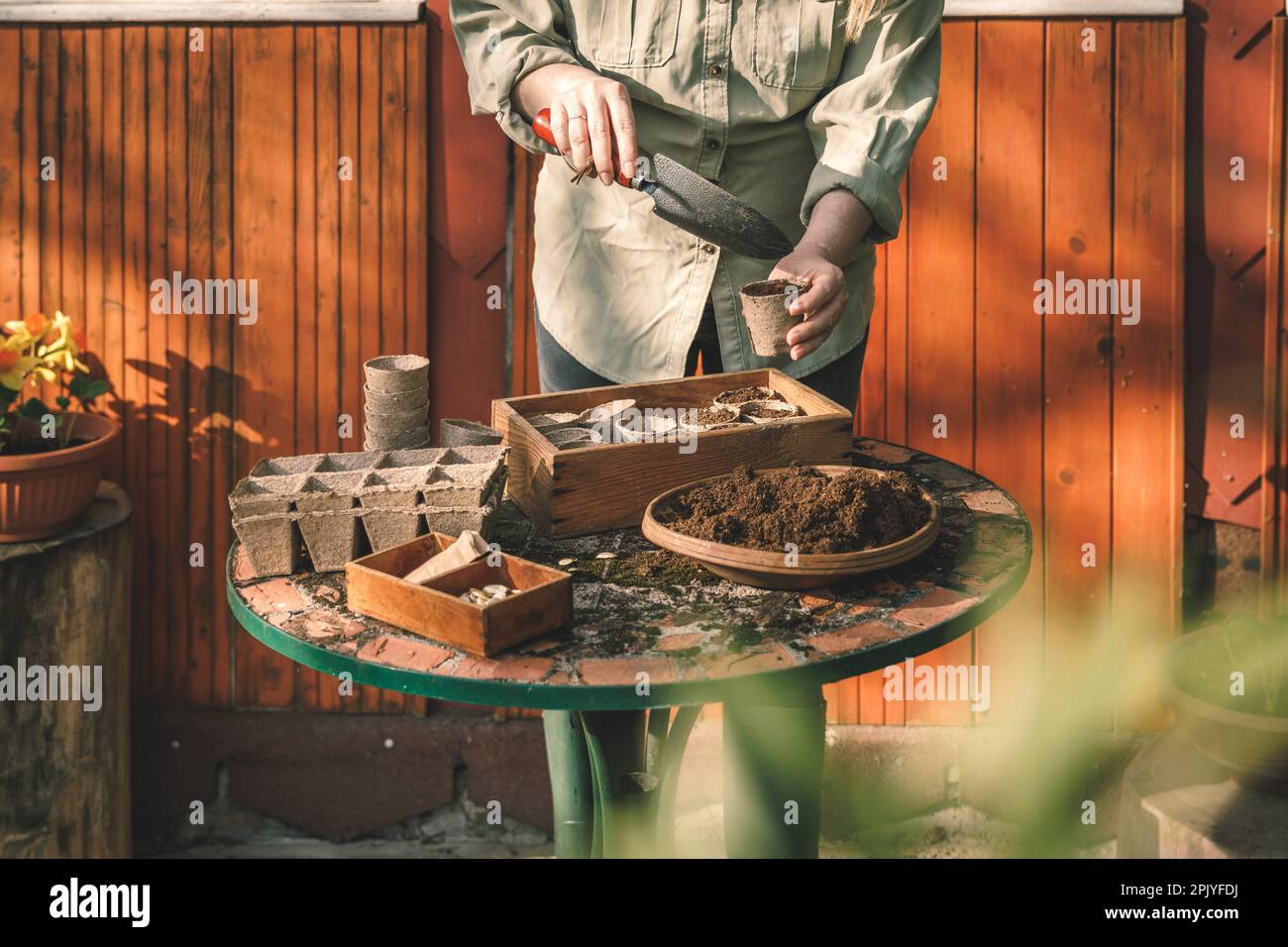 Woman with shovel putting soil and compost into biodegradable peat pots ...