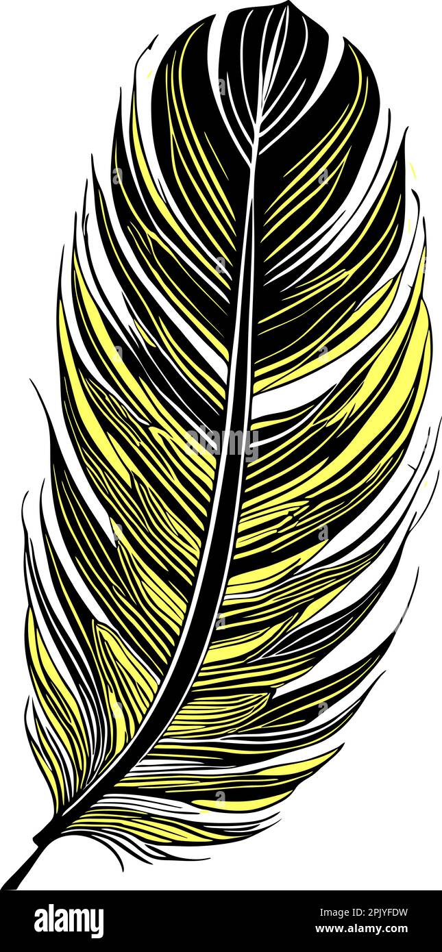 simple graphic drawing black and yellow bird feather, sketch, logo ...
