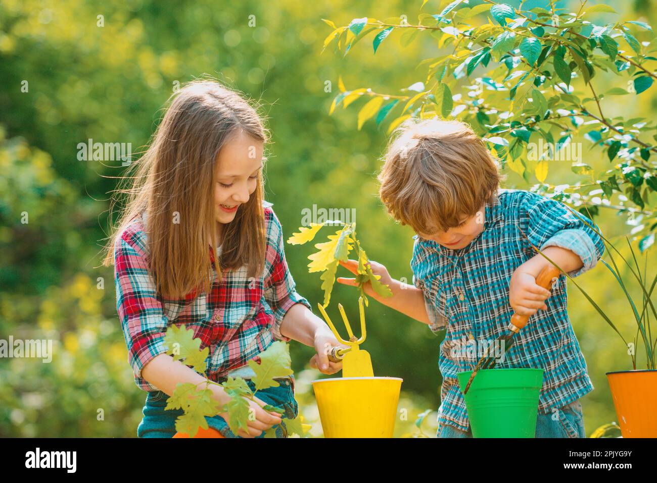 Happy children farmers having fun on spring field. Two Little farmers ...
