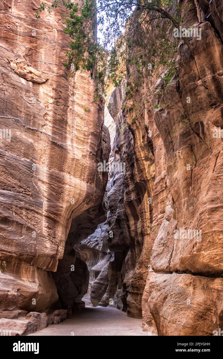 Entrance path into the UNESCO historic site of Petra. Jordan Stock ...