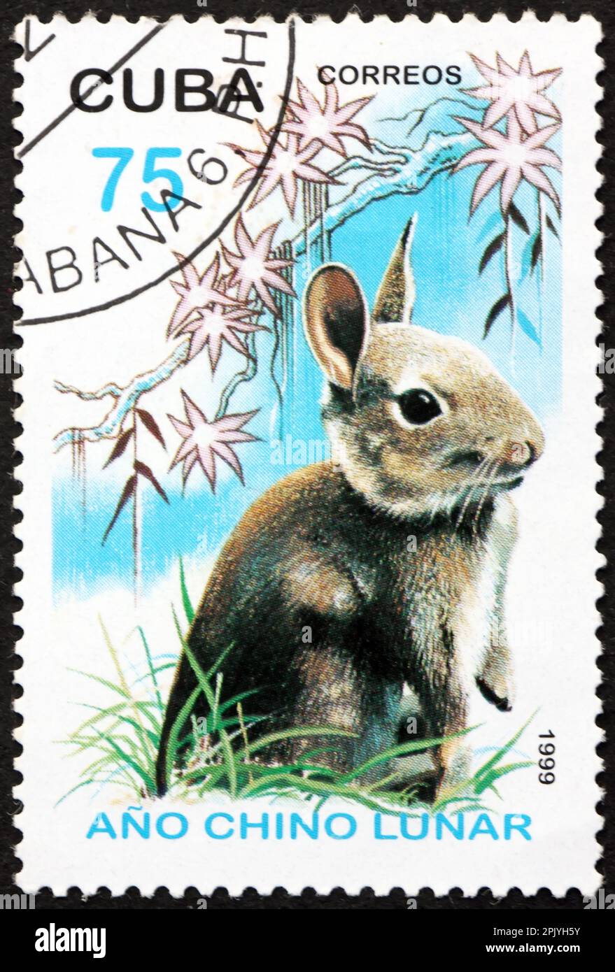 CUBA - CIRCA 1999: a stamp printed in Cuba shows a rabit, year of the ... CUBA - CIRCA 1999: a stamp printed in Cuba shows a rabit, year of the ...
