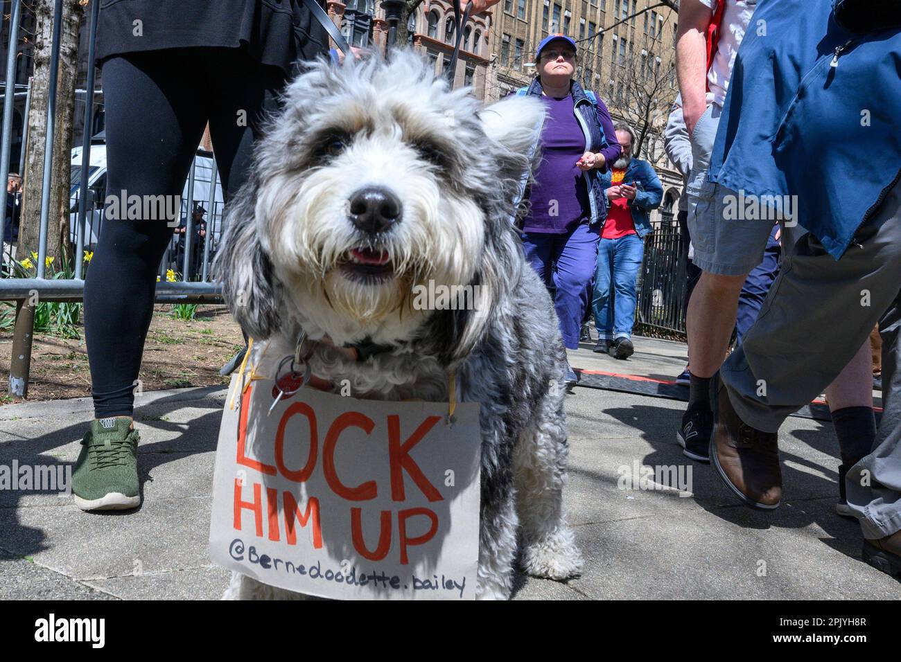 New York, USA. 4th Apr, 2023. A dog wears a sign against former US ...