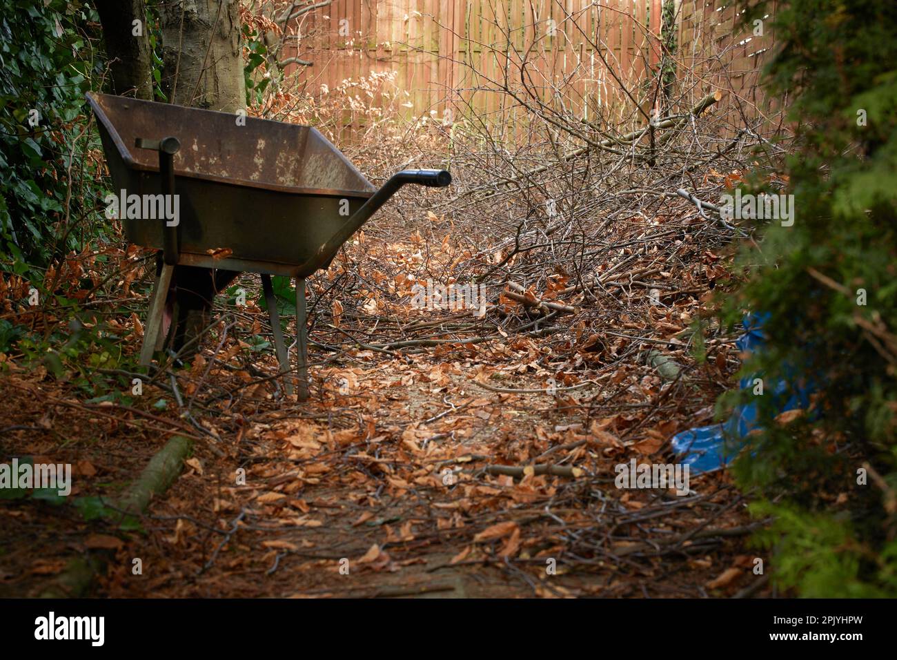 early spring and spring spinners, wheelbarrow, tree branches and leaves ...