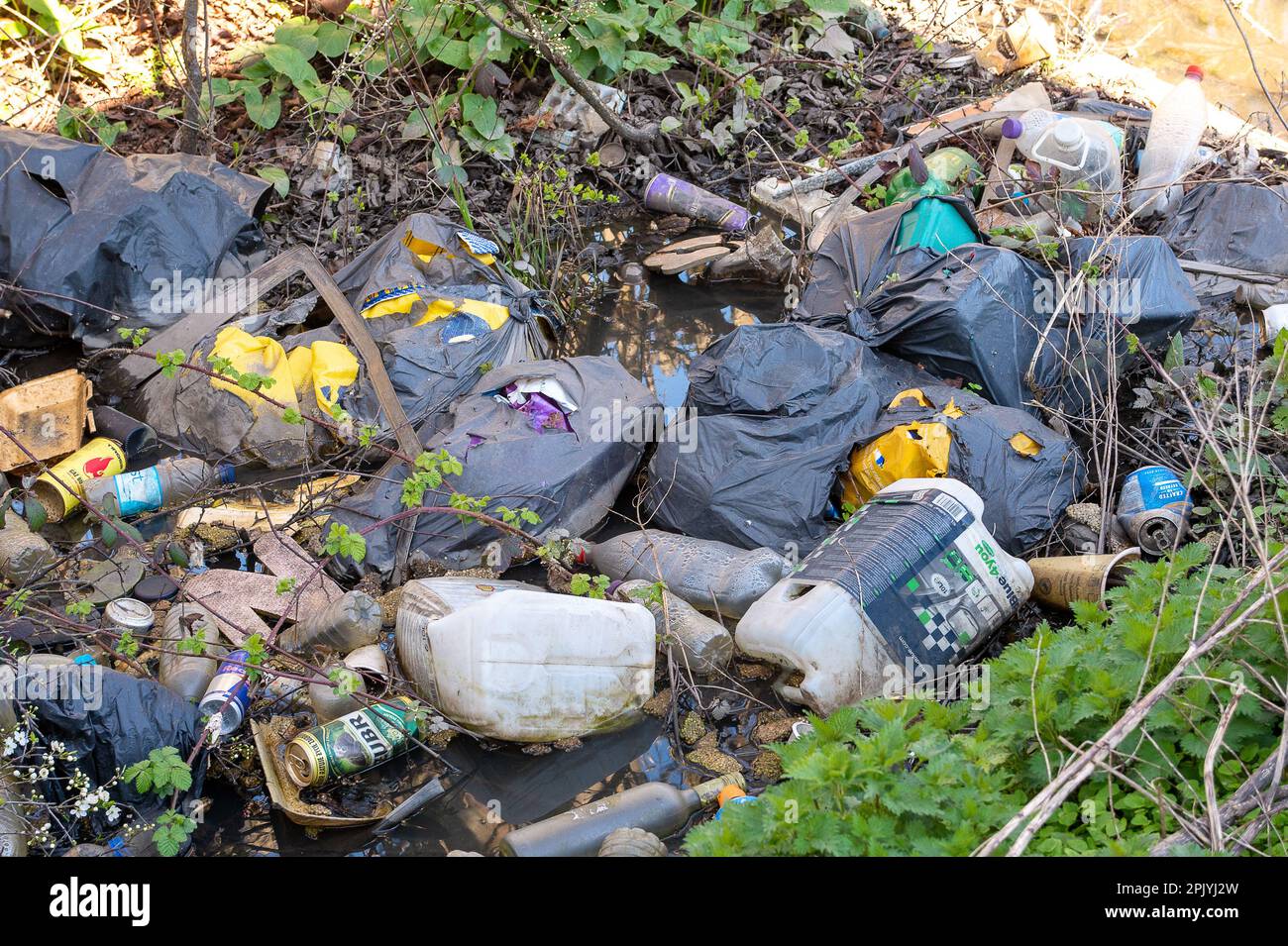 Denham, Buckinghamshire, UK. 4th April, 2023. Shocking amounts of fly ...