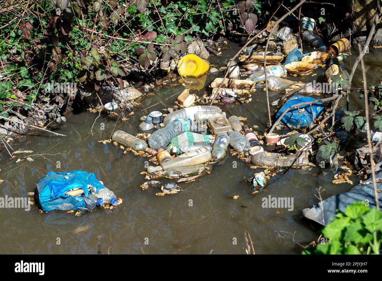 Denham, Buckinghamshire, UK. 4th April, 2023. Shocking amounts of fly ...