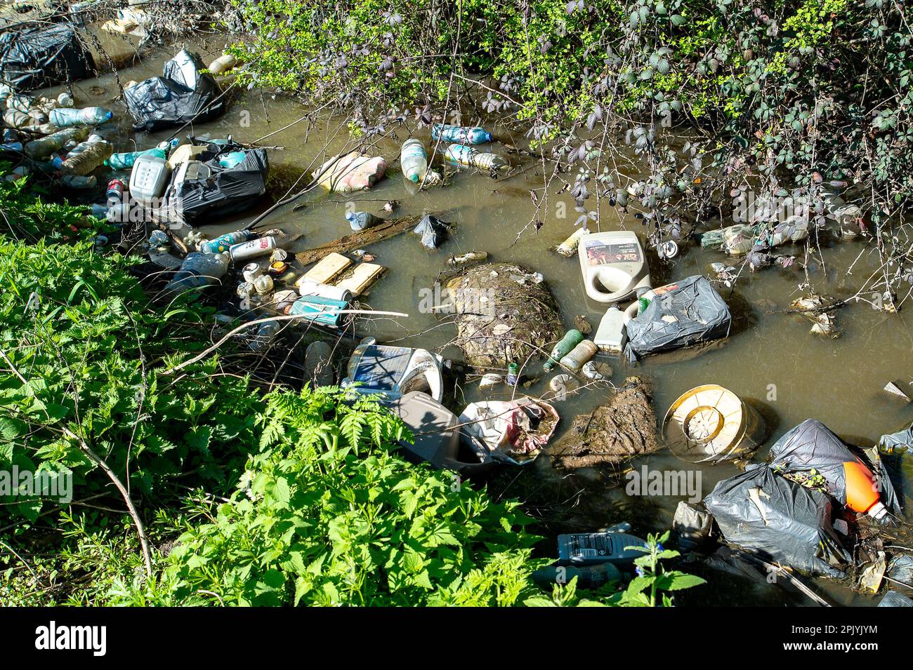 Denham, Buckinghamshire, UK. 4th April, 2023. Shocking amounts of fly ...