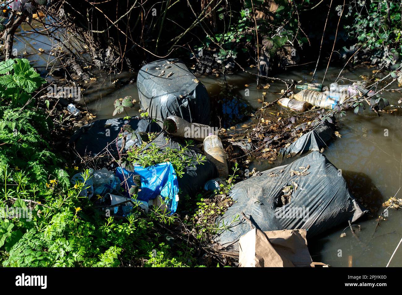 Denham, Buckinghamshire, UK. 4th April, 2023. Shocking amounts of fly ...