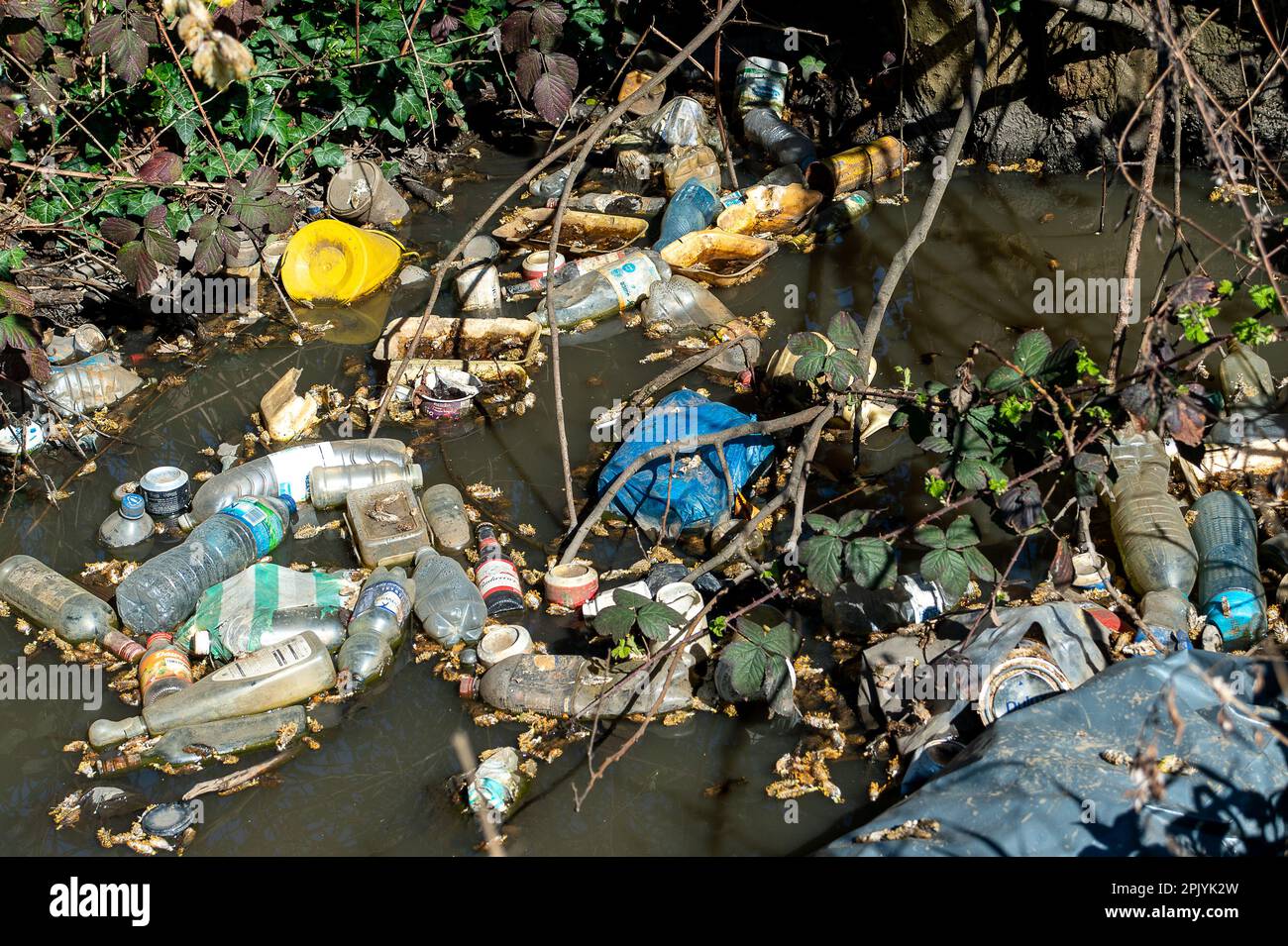 Denham, Buckinghamshire, UK. 4th April, 2023. Shocking amounts of fly ...