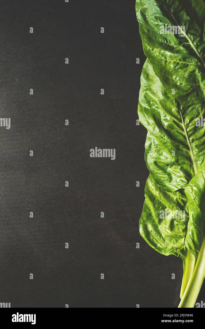 Leaf beat plant, perpetual spinach leaves on black rustic metal ...