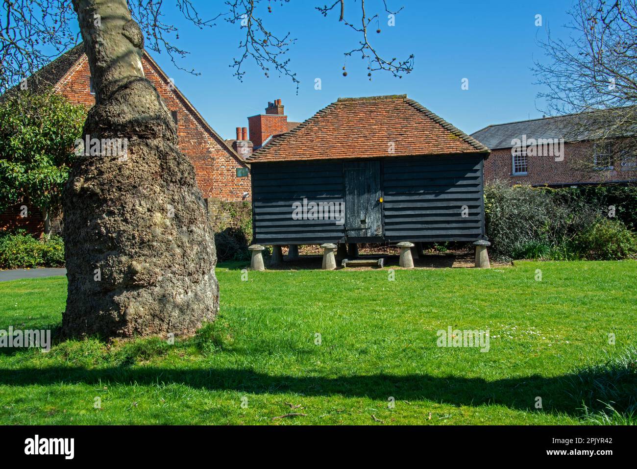 historic buildings at Hall Place, Bexley Stock Photo - Alamy