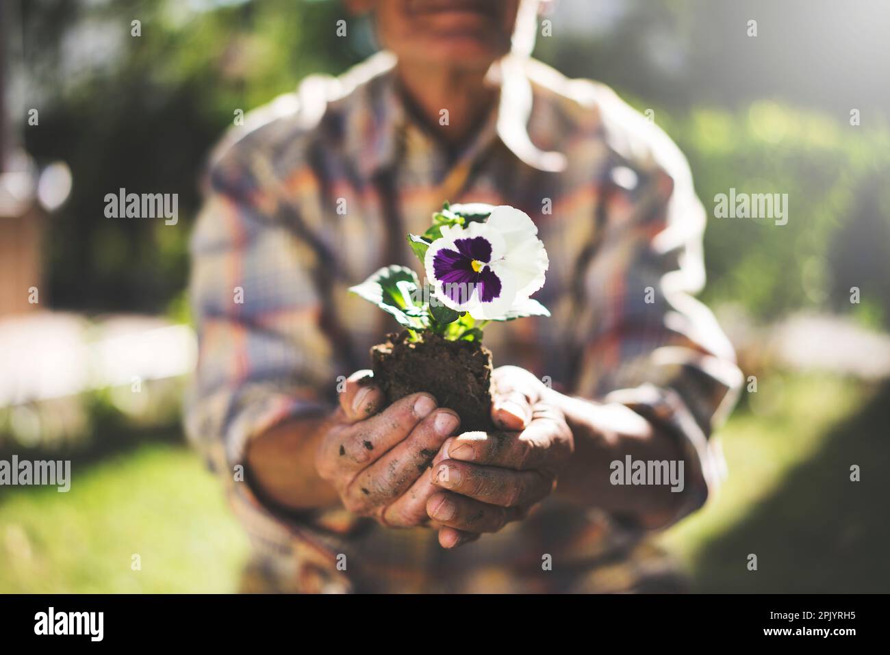 Spring outdoor activities hi-res stock photography and images - Alamy