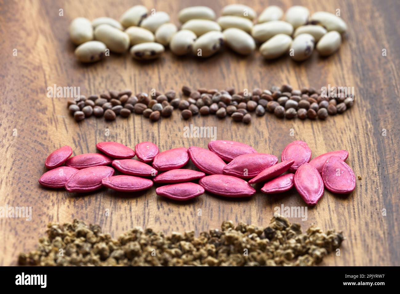 A studio photo of four different vegetable seeds. Beets, Cucumber ...