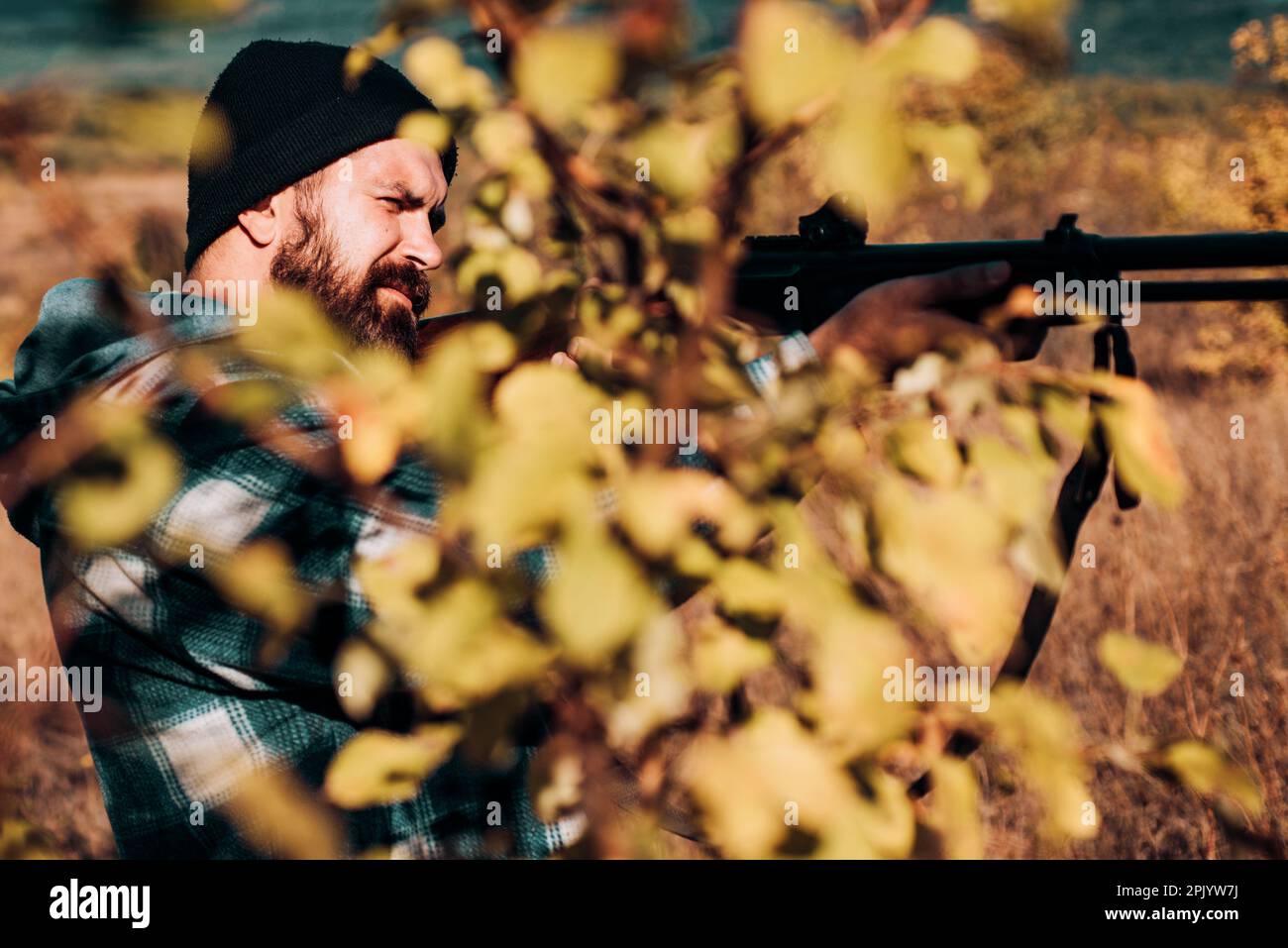 Autumn hunting season. Hunter with shotgun gun on hunt. Hunter in the ...