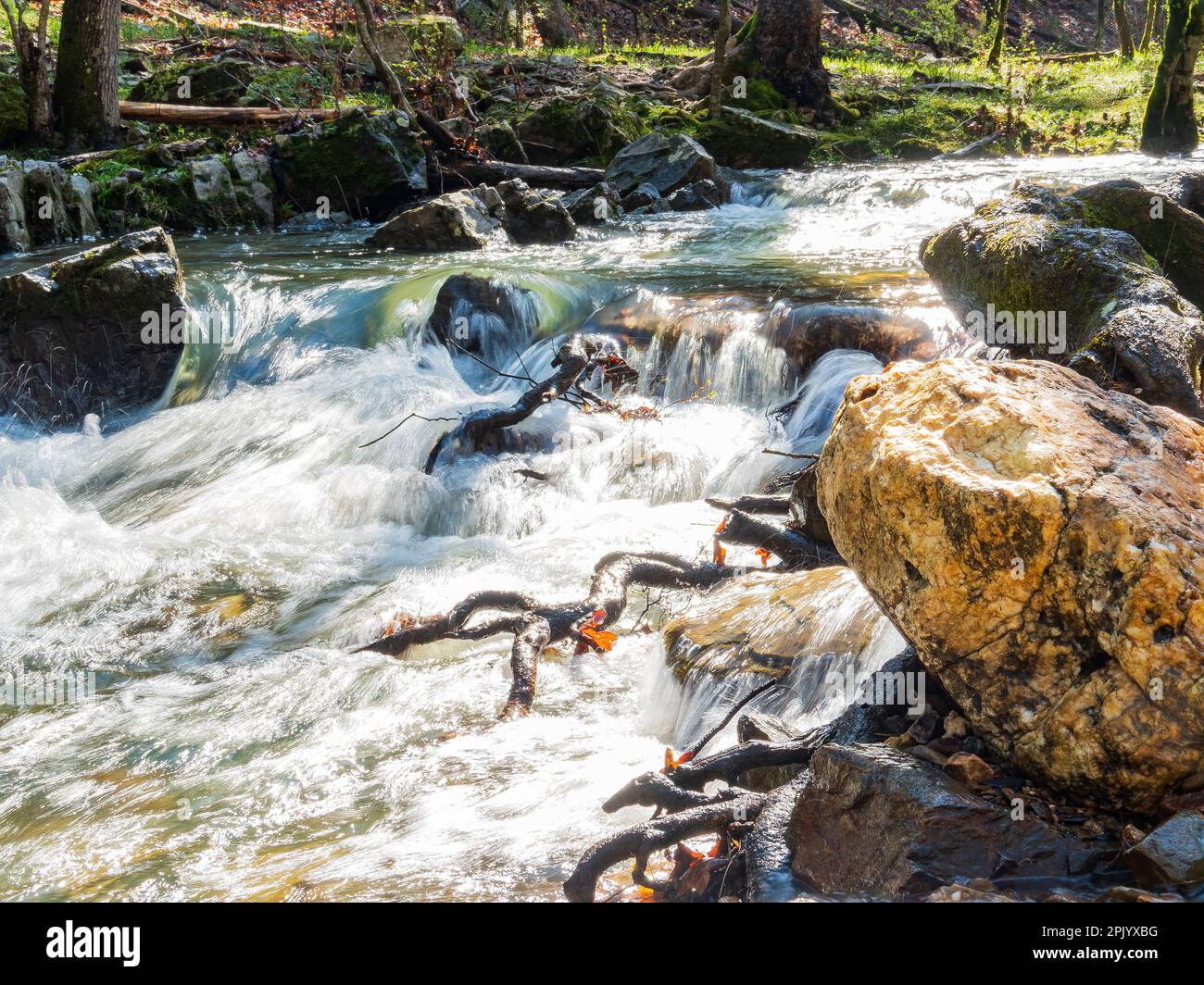 Sunny view of the Lookout Mountain Trail landscape of Beavers Bend ...