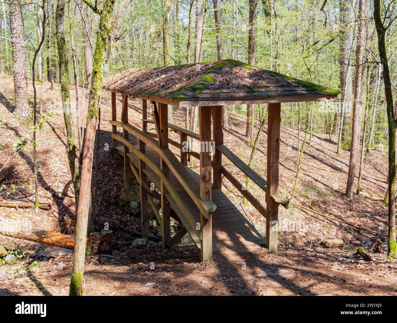 Sunny view of the Lookout Mountain Trail landscape of Beavers Bend ...
