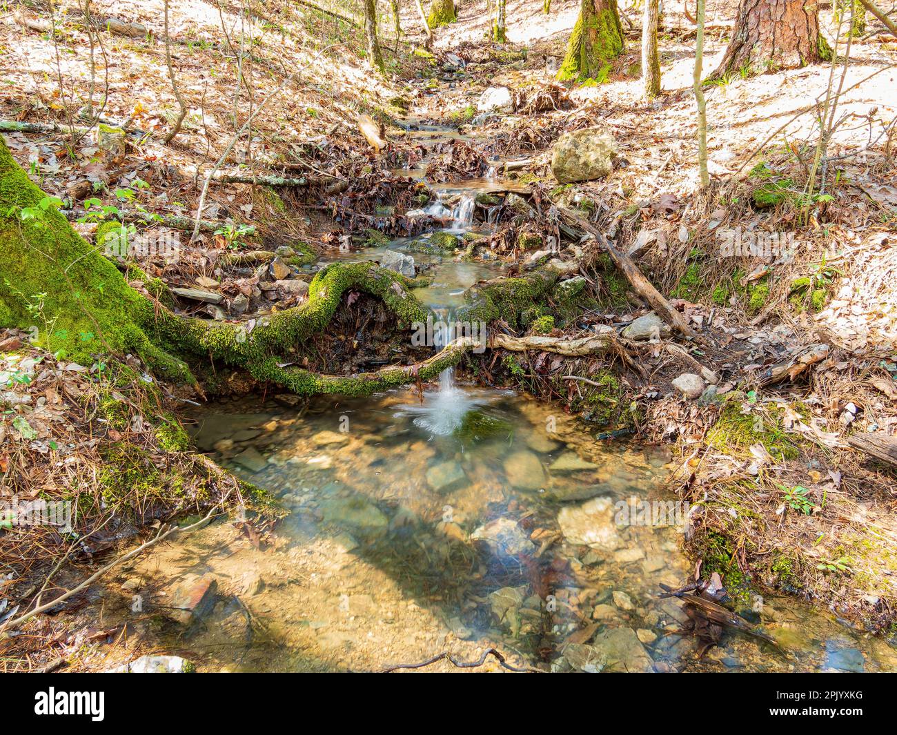 Sunny view of the Lookout Mountain Trail landscape of Beavers Bend ...