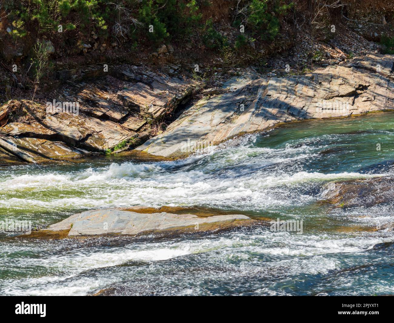 Sunny view of the landscape of Friends Trail Loop Trail in Beavers Bend ...