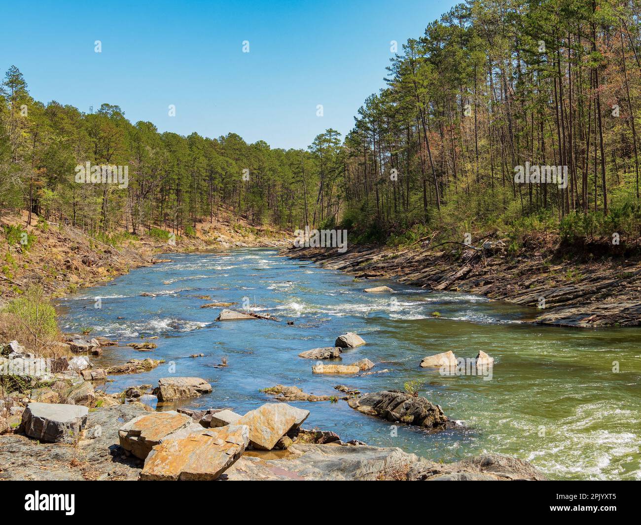 Sunny view of the landscape of Friends Trail Loop Trail in Beavers Bend ...