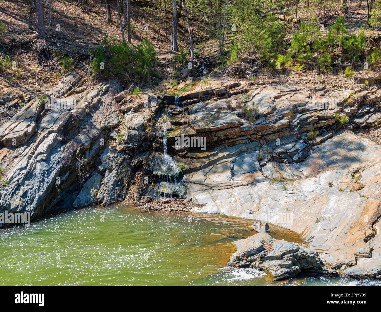 Sunny view of the landscape of Friends Trail Loop Trail in Beavers Bend ...