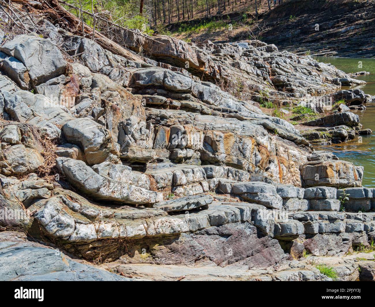 Sunny view of the landscape of Friends Trail Loop Trail in Beavers Bend ...