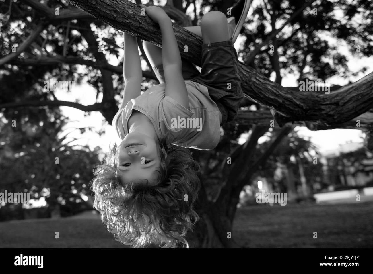 Smiling child climbing a tree in the garden. Active kid playing ...