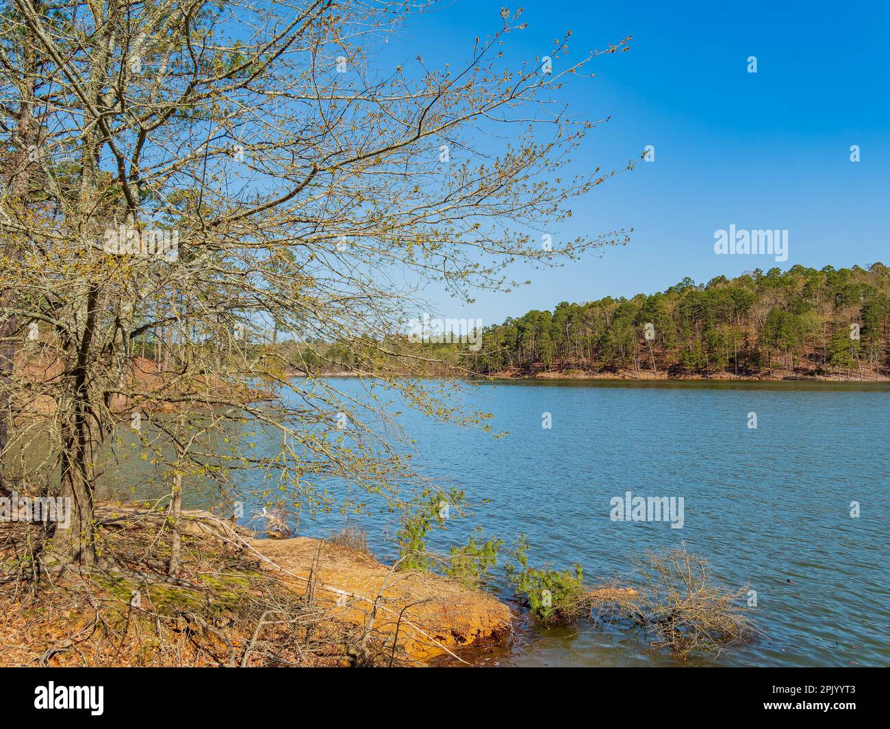 Sunny view of the landscape of Broken Bow Lake in Beavers Bend State ...