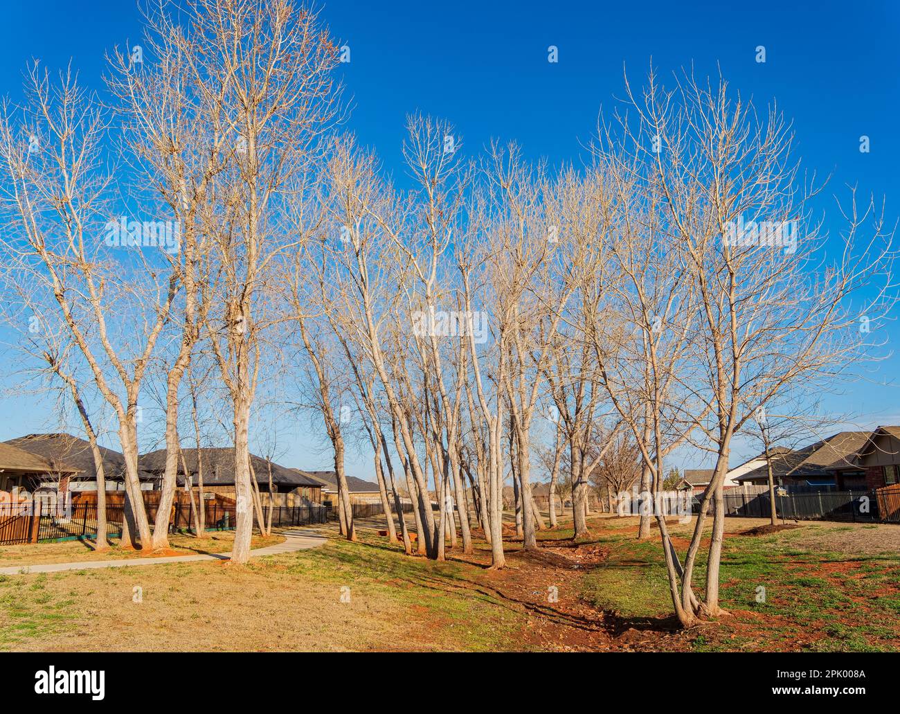 Sunny view of the landscape of community park at Edmond, Oklahoma Stock ...