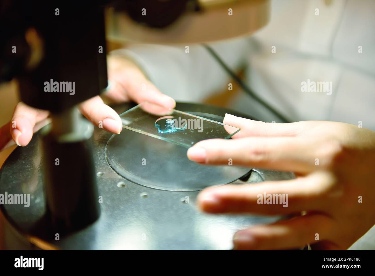 Laboratory worker examines a sample of a chemical through a microscope ...