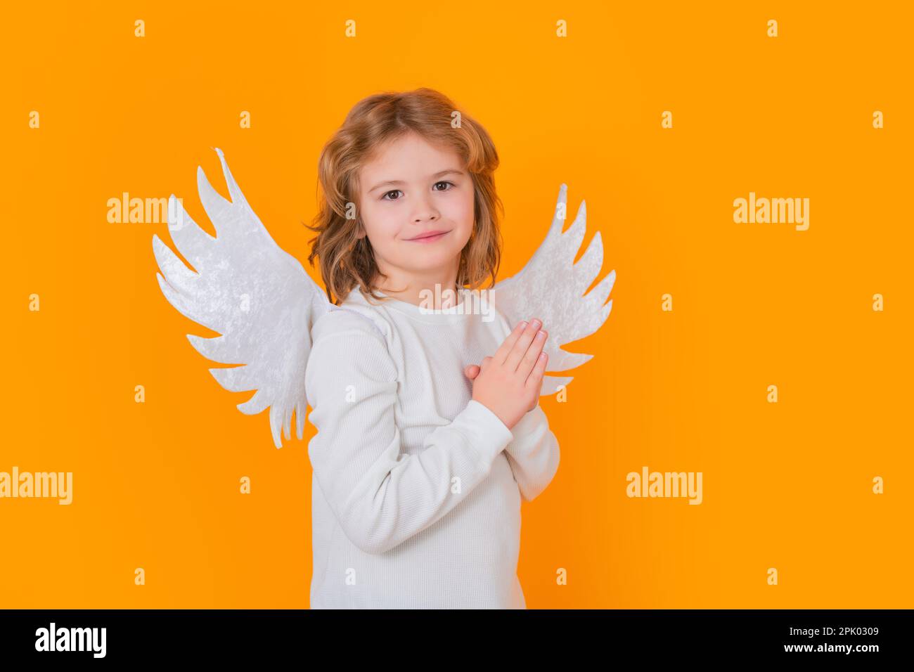 Little angel. Portrait of cute kid with angel wings isolated on studio ...