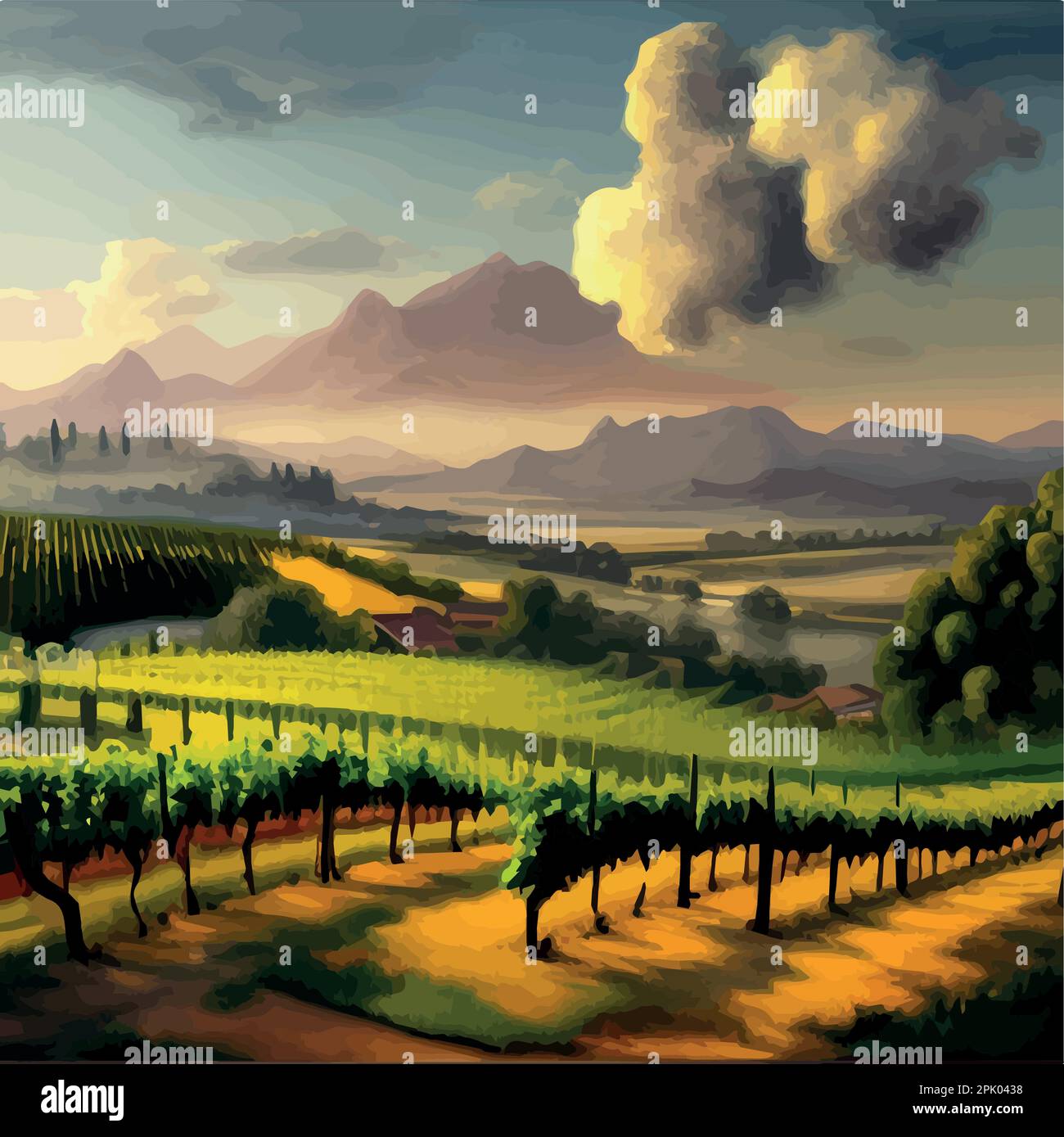 Rows of grape vines Stock Vector Images - Alamy