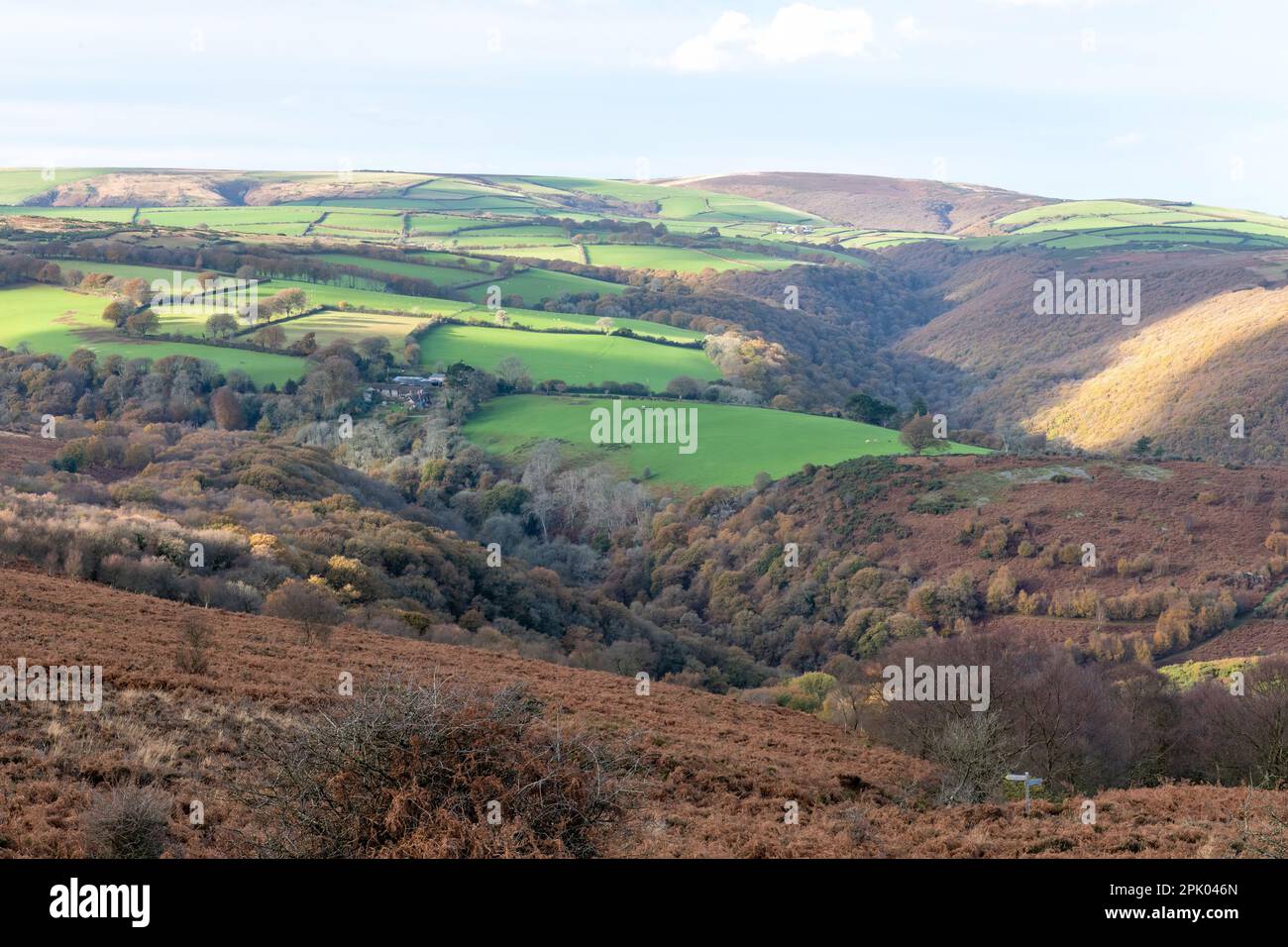 Landscape photo of the autumn colours at Horner woods in Exmoor ...