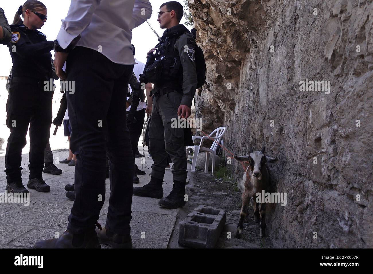 Animal sacrifice jerusalem temple hi-res stock photography and images ...