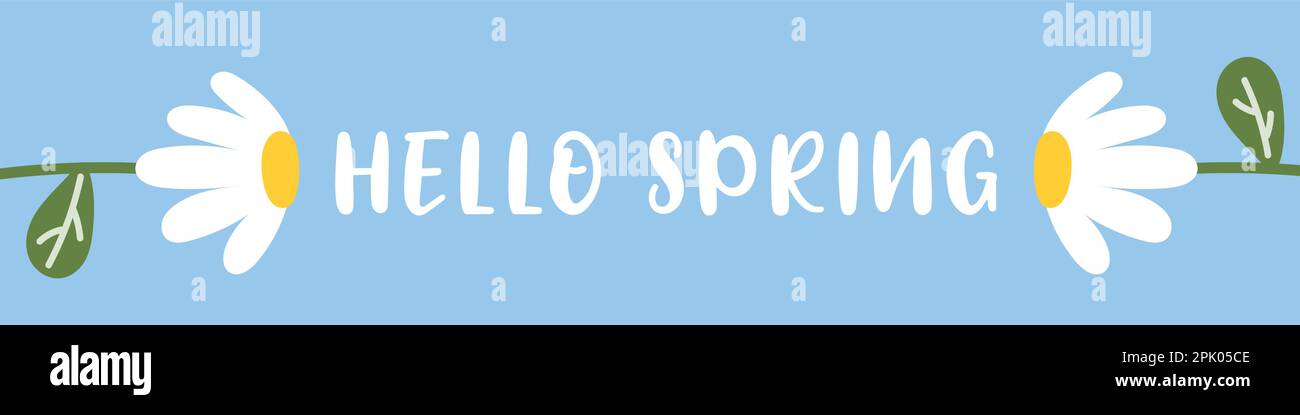 Hello Spring. Daisy flower background. Horizontal banner. Vector ...