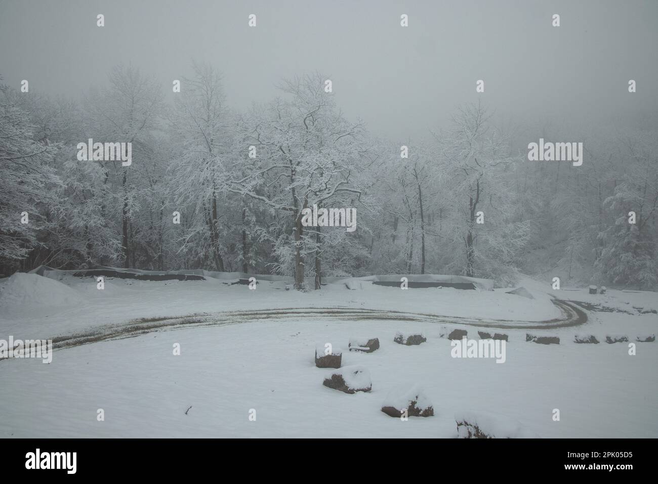 A scenic winter landscape featuring a snow-covered ground amidst a ...