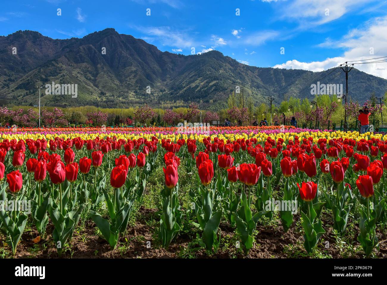 Srinagar, Kashmir, India. 4th Apr, 2023. Visitors walk past the ...
