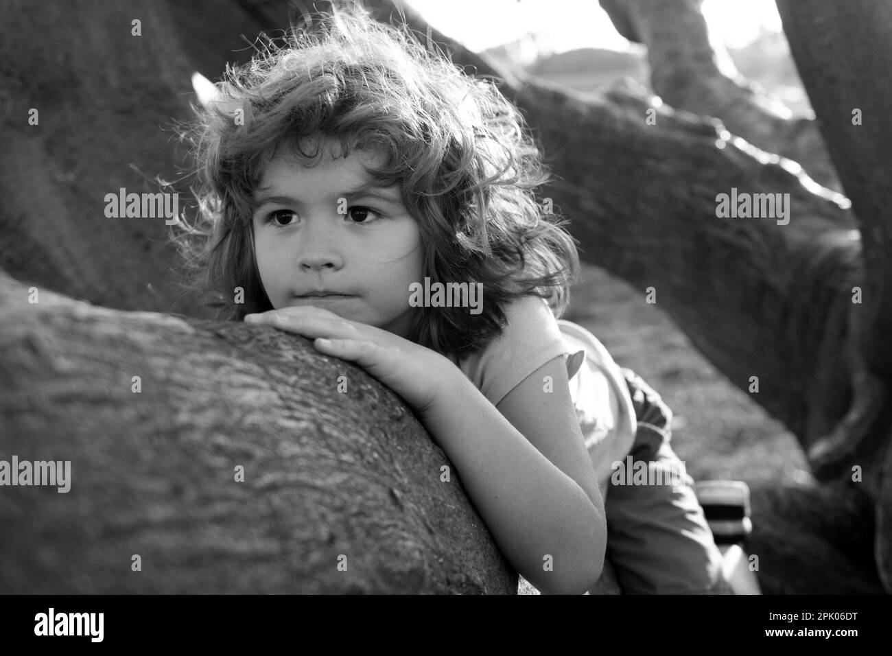 Portrait of cute kid boy sitting on the branch tree on sunny day. Child ...