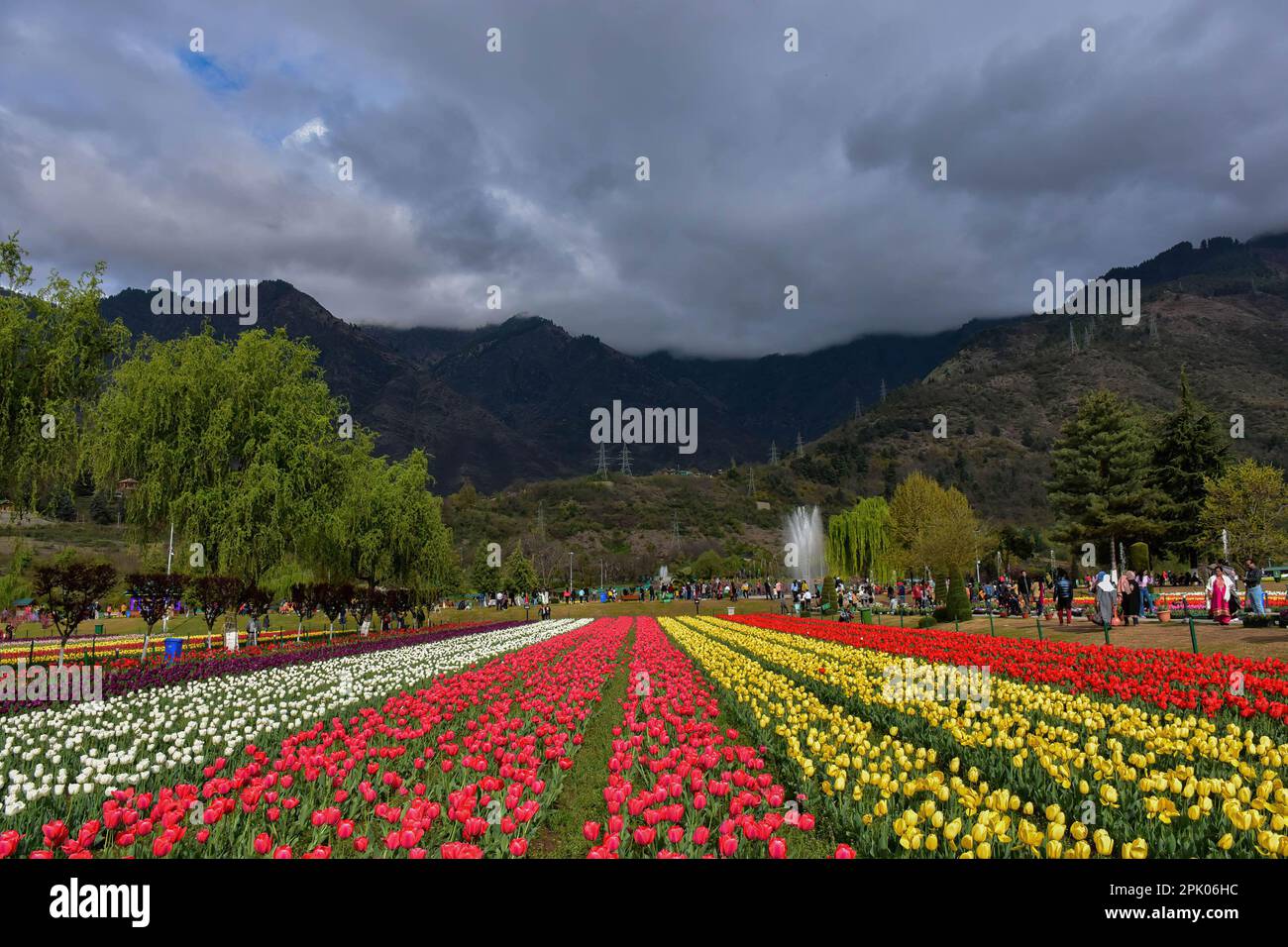 Srinagar, Kashmir, India. 4th Apr, 2023. Visitors explore the blooming ...