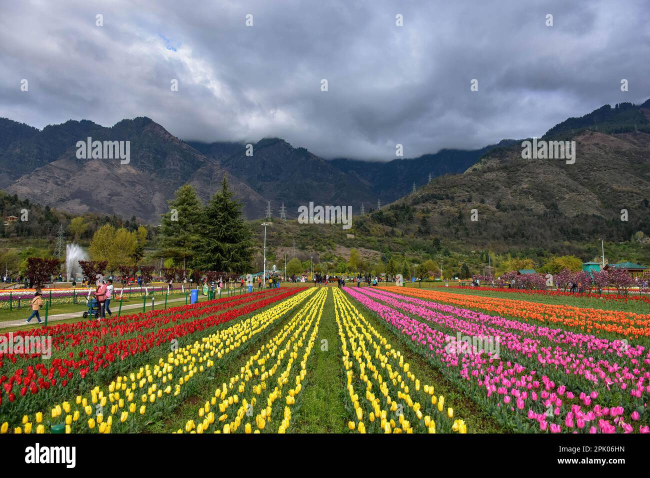 Srinagar, Kashmir, India. 4th Apr, 2023. Visitors explore the blooming ...