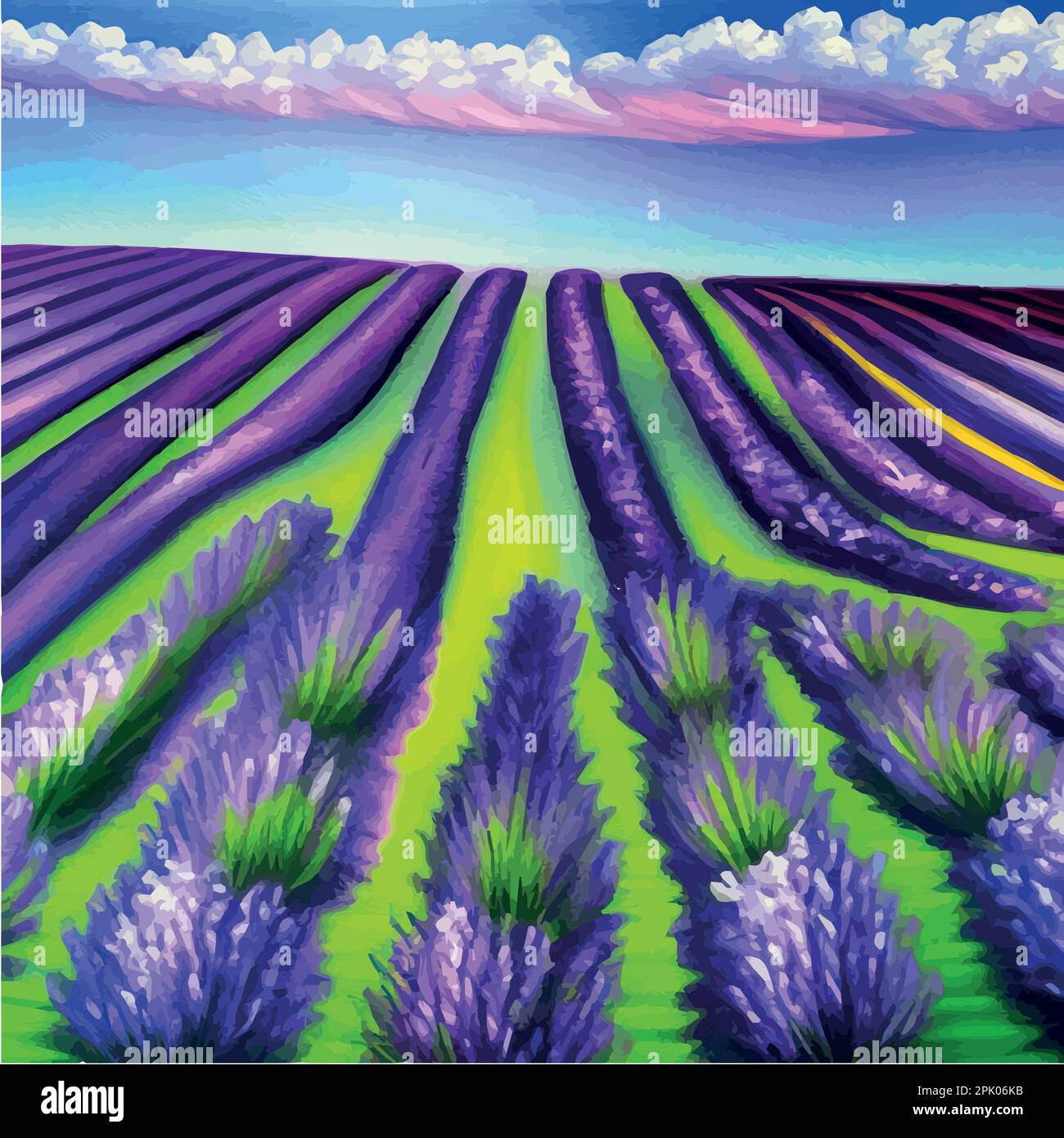 Lavender Field Panoramic