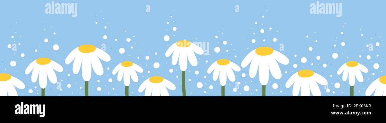 Springtime. Daisy flower border. Horizontal banner. Vector illustration ...
