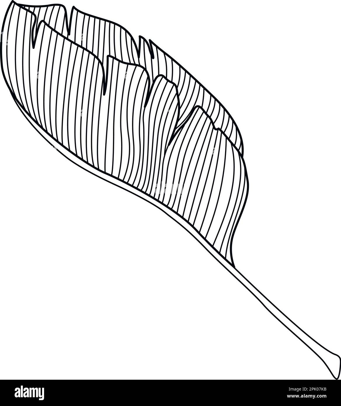 leaf plant foliage draw Stock Vector Image & Art - Alamy