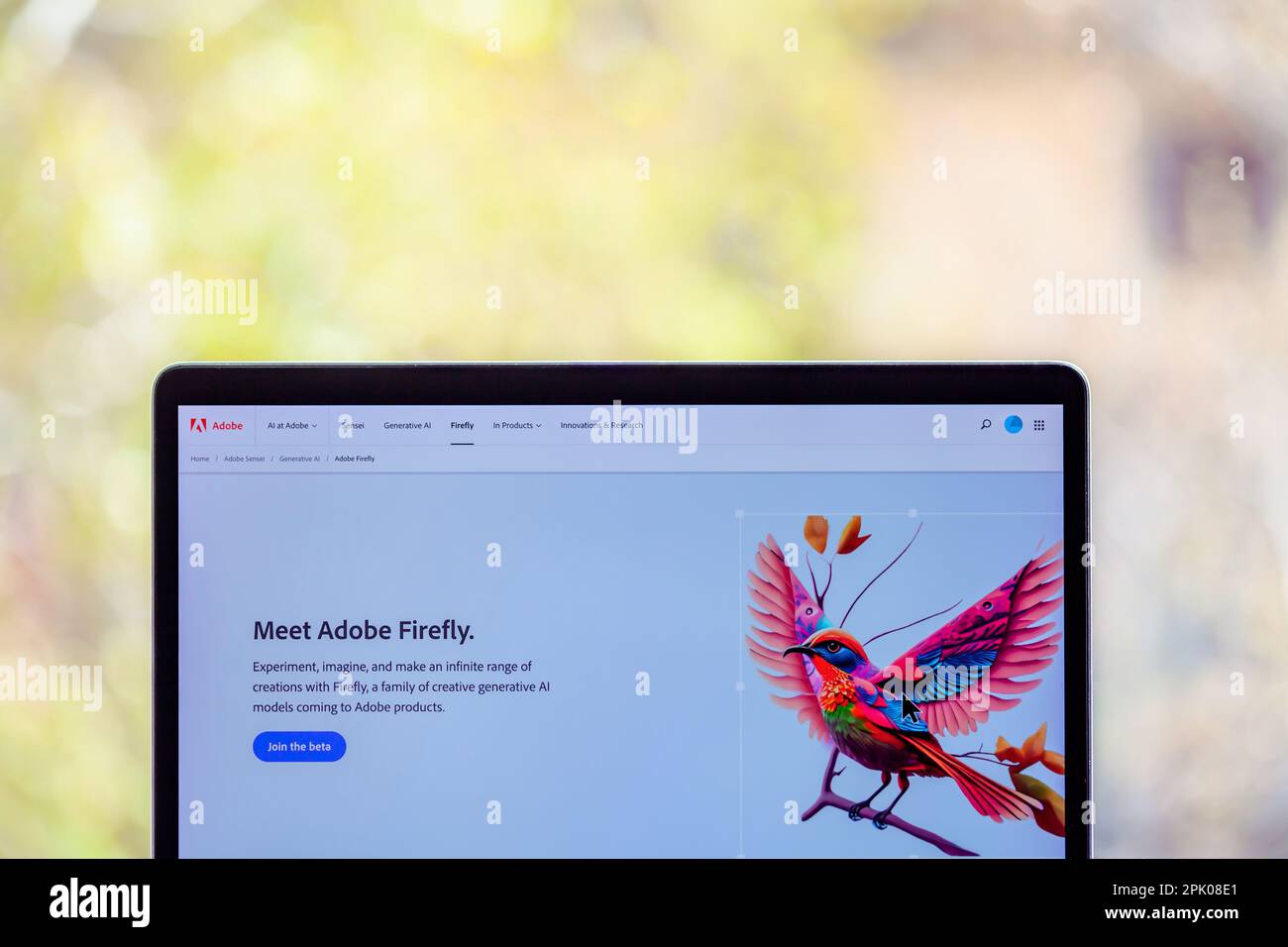 ITALY - April 4, 2023: Adobe Firefly website displayed on mac laptop ...