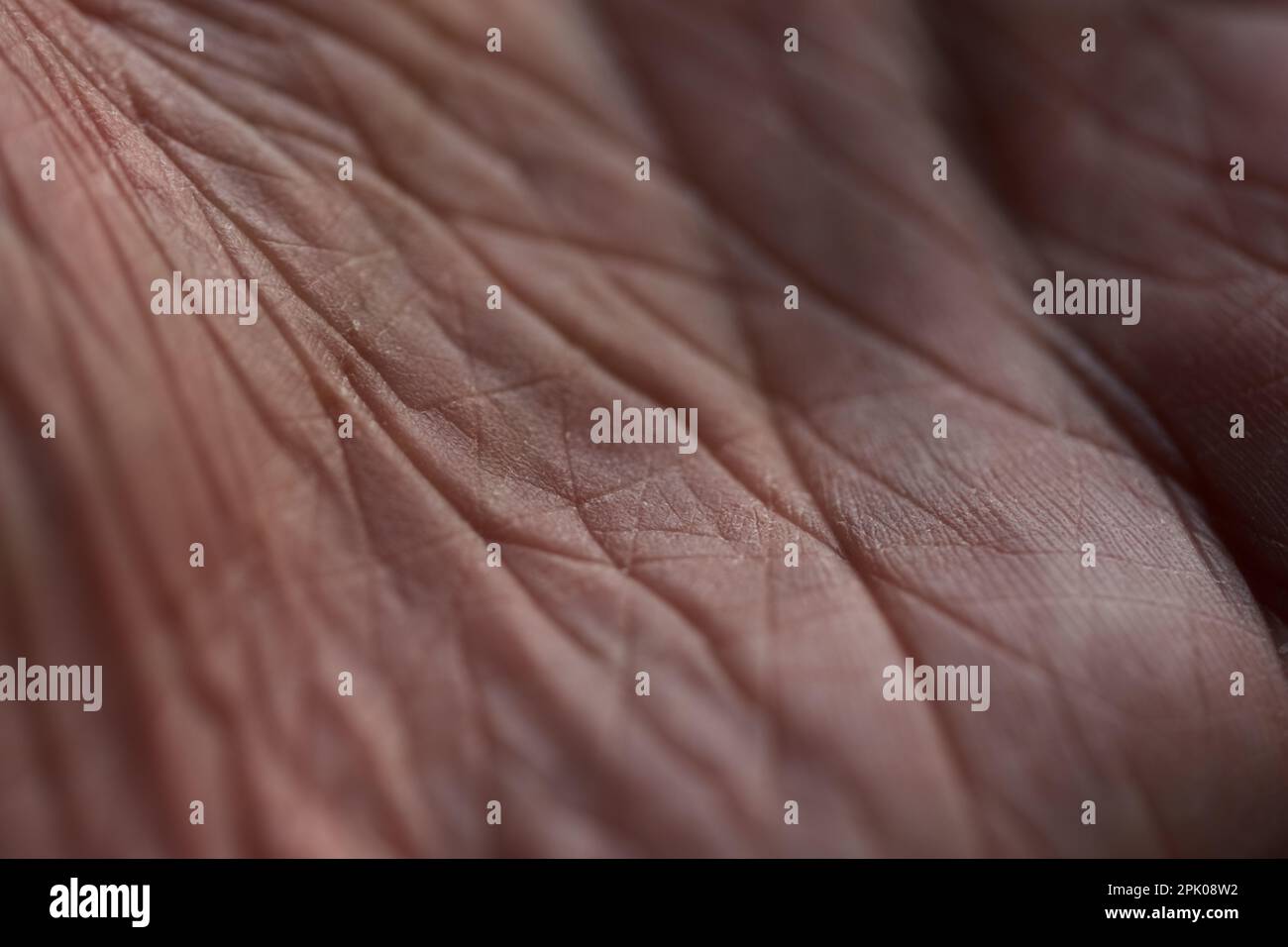 Super closeup of young adult man hand in dark moody lighting. Shallow ...