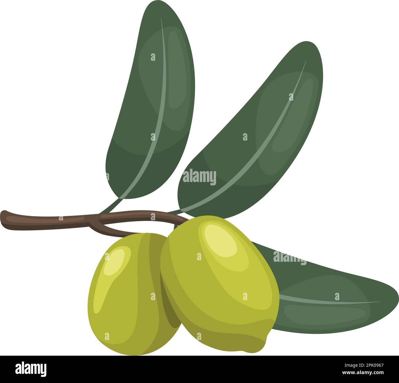 green olive seeds Stock Vector Image & Art - Alamy