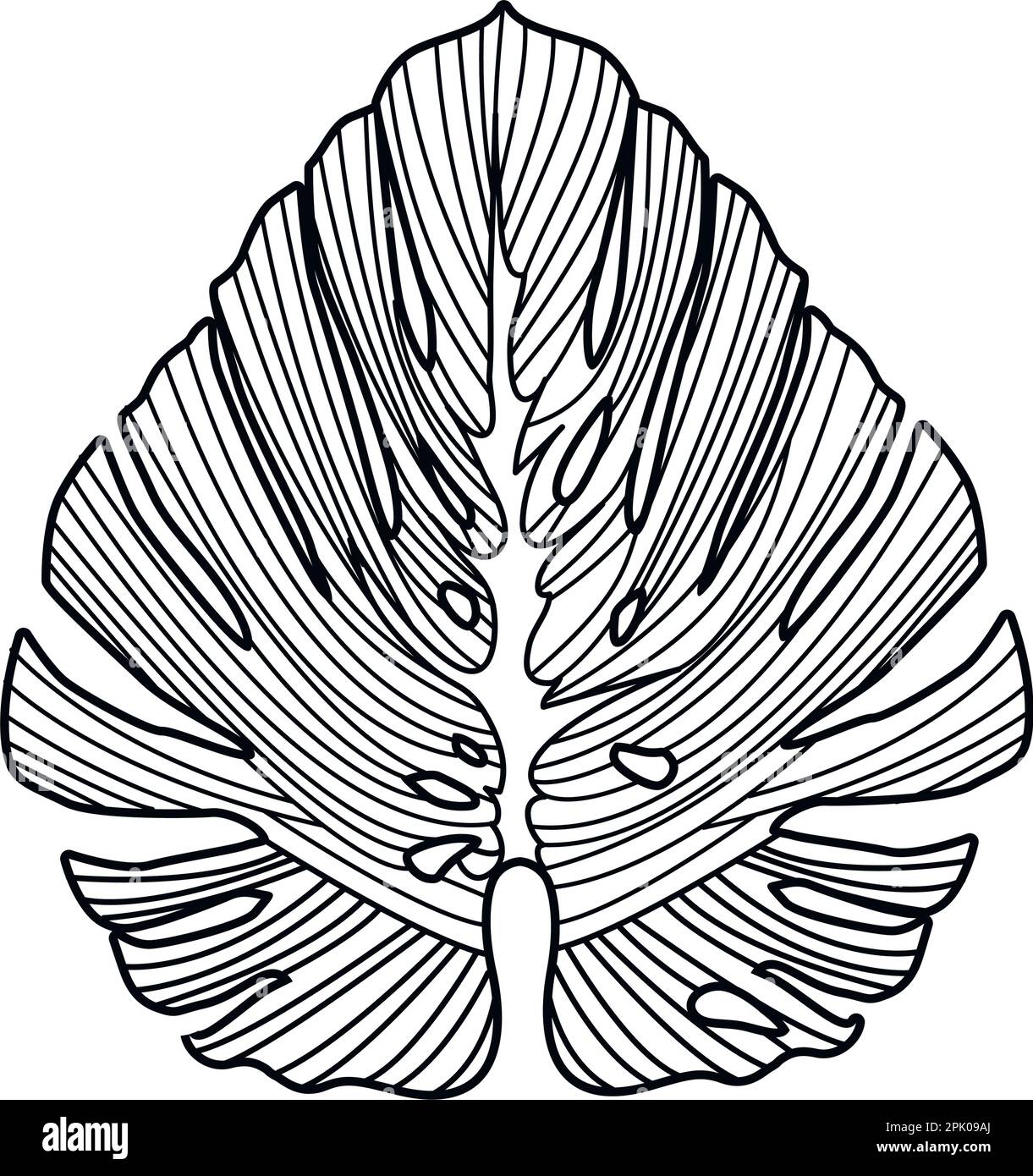 exotic leave plant foliage Stock Vector Image & Art - Alamy